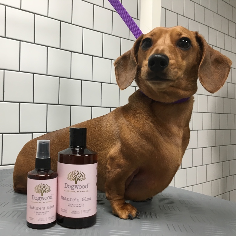 Treatments | Dogwood Natural Pet Grooming Spa